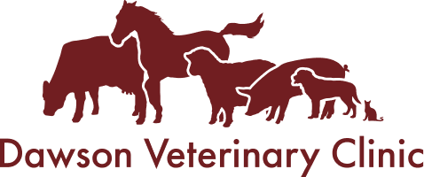 New Client Form - Resources At Dawson Veterinary Clinic